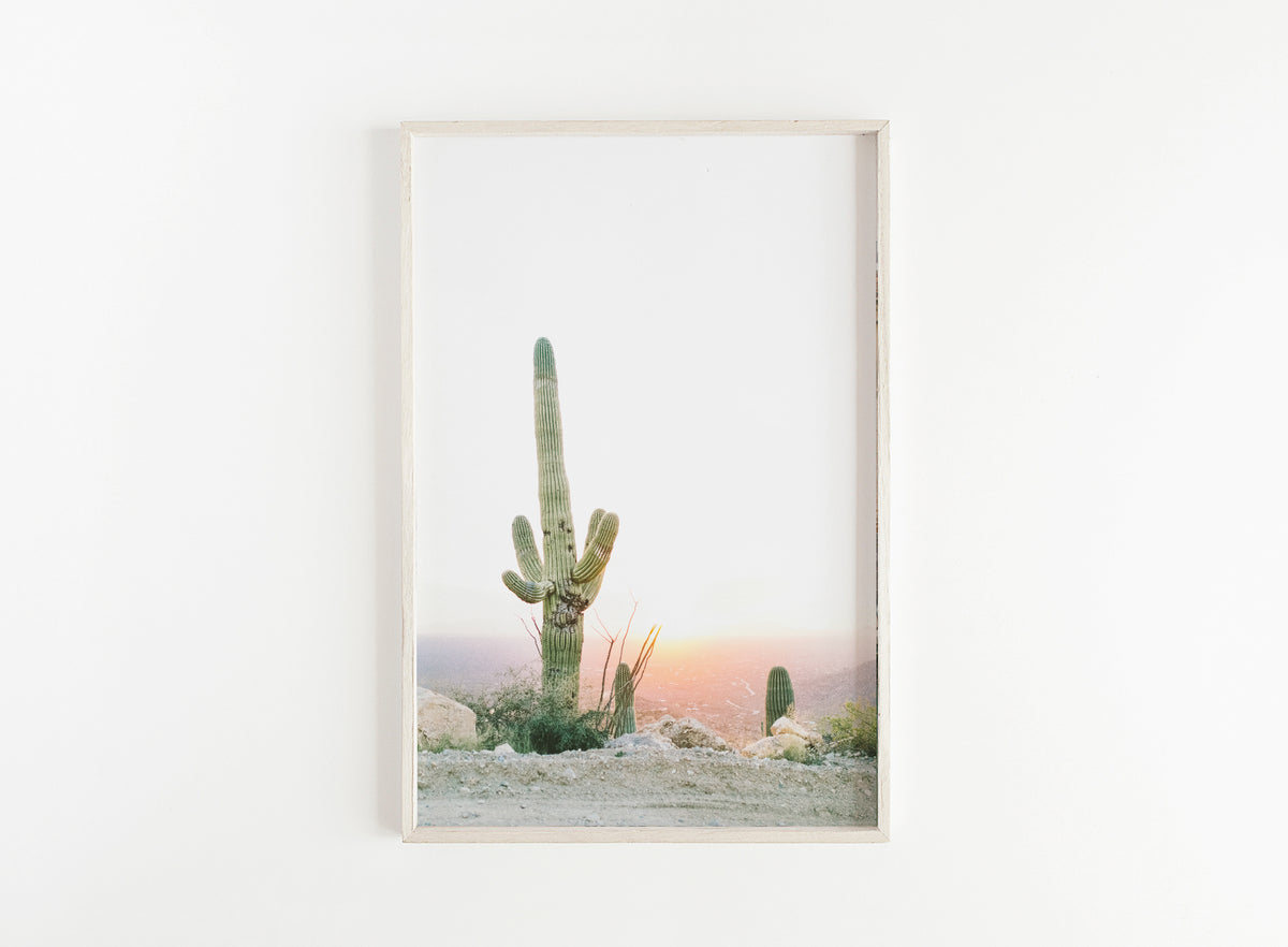 arizona prints, desert prints, cactus prints, wall art and home decor ...